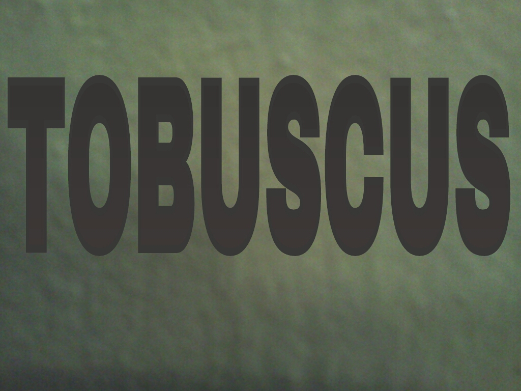 Tobuscus Wallpaper